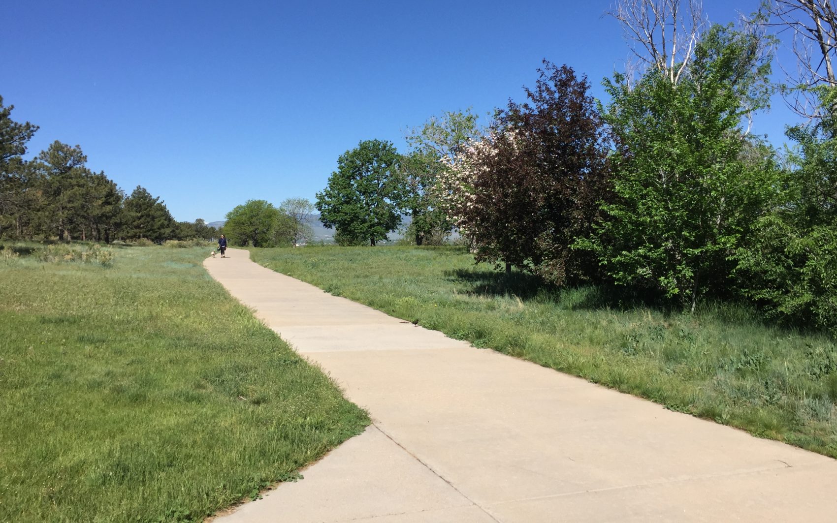 Inspiration Point Bluegrass Conversion - StudioCPG