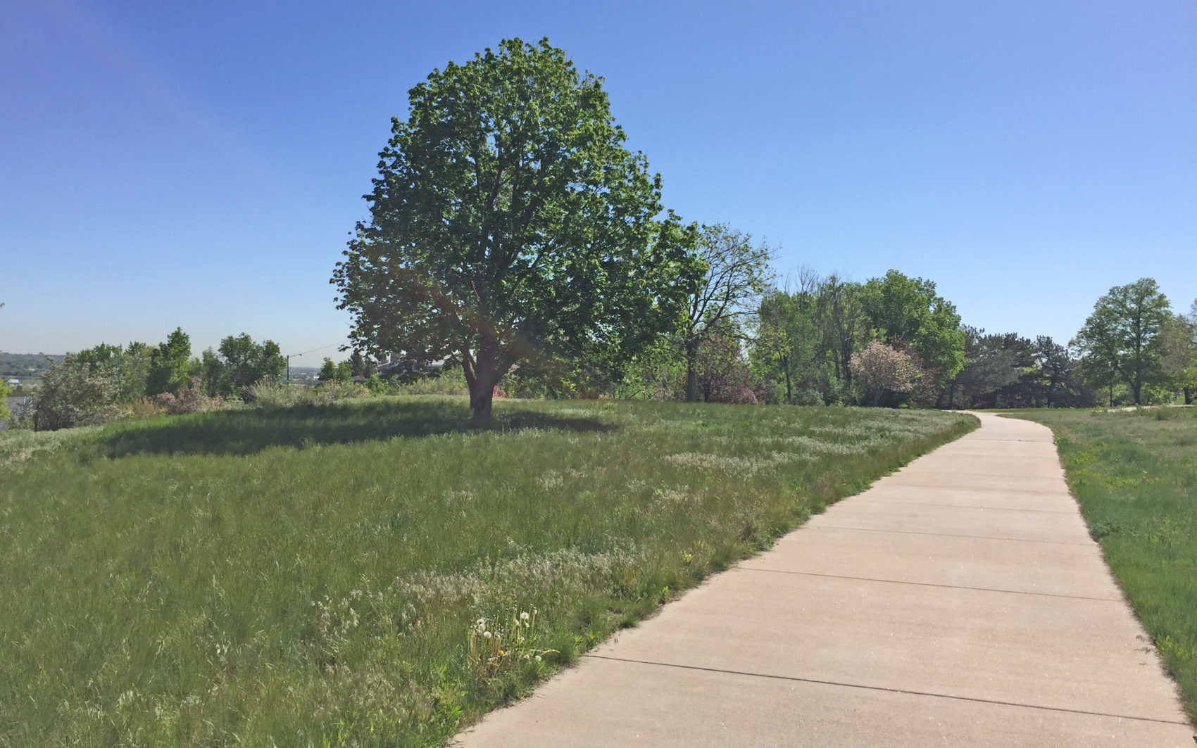 Inspiration Point Bluegrass Conversion - StudioCPG