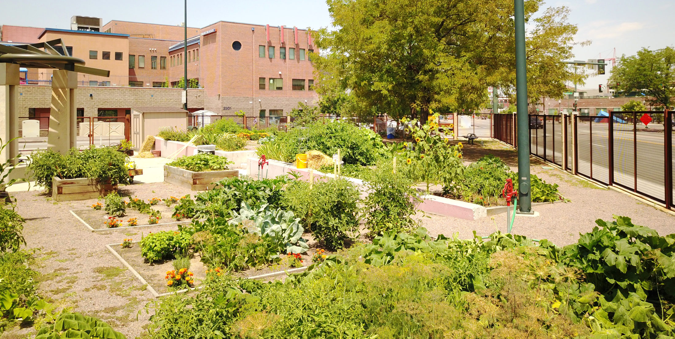 Eddie Maestas Park and Little Boxcar Park - StudioCPG